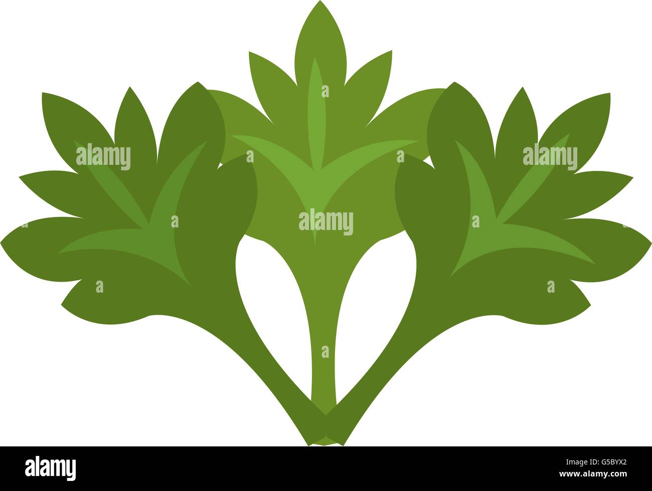 green tree leaves,vector graphic Stock Vector Image & Art - Alamy