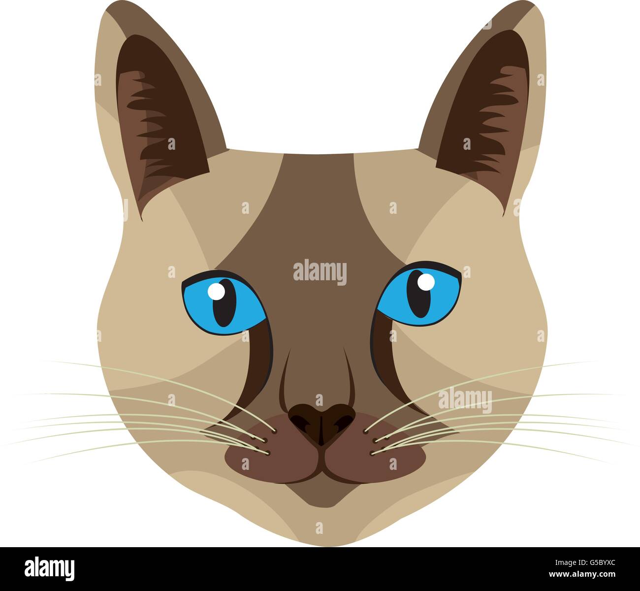 colorful cat front view,vector graphic Stock Vector Image & Art - Alamy