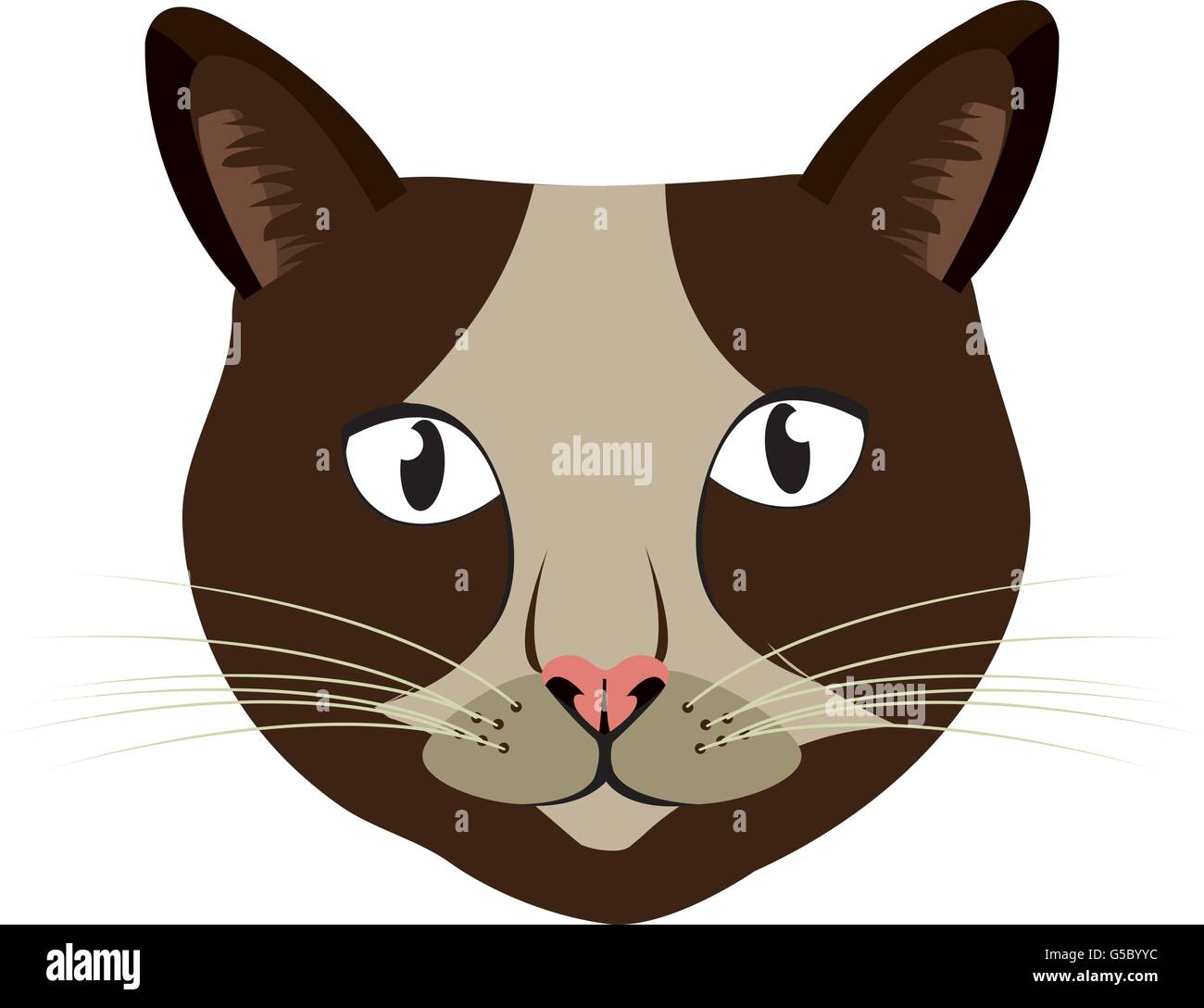colorful cat front view,vector graphic Stock Vector Image & Art - Alamy