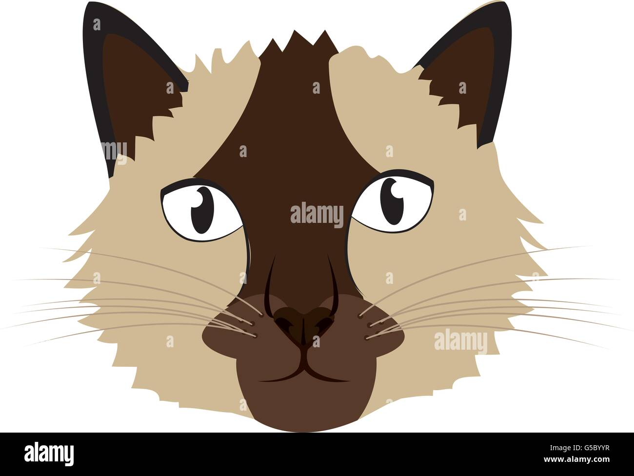 colorful cat front view,vector graphic Stock Vector Image & Art - Alamy