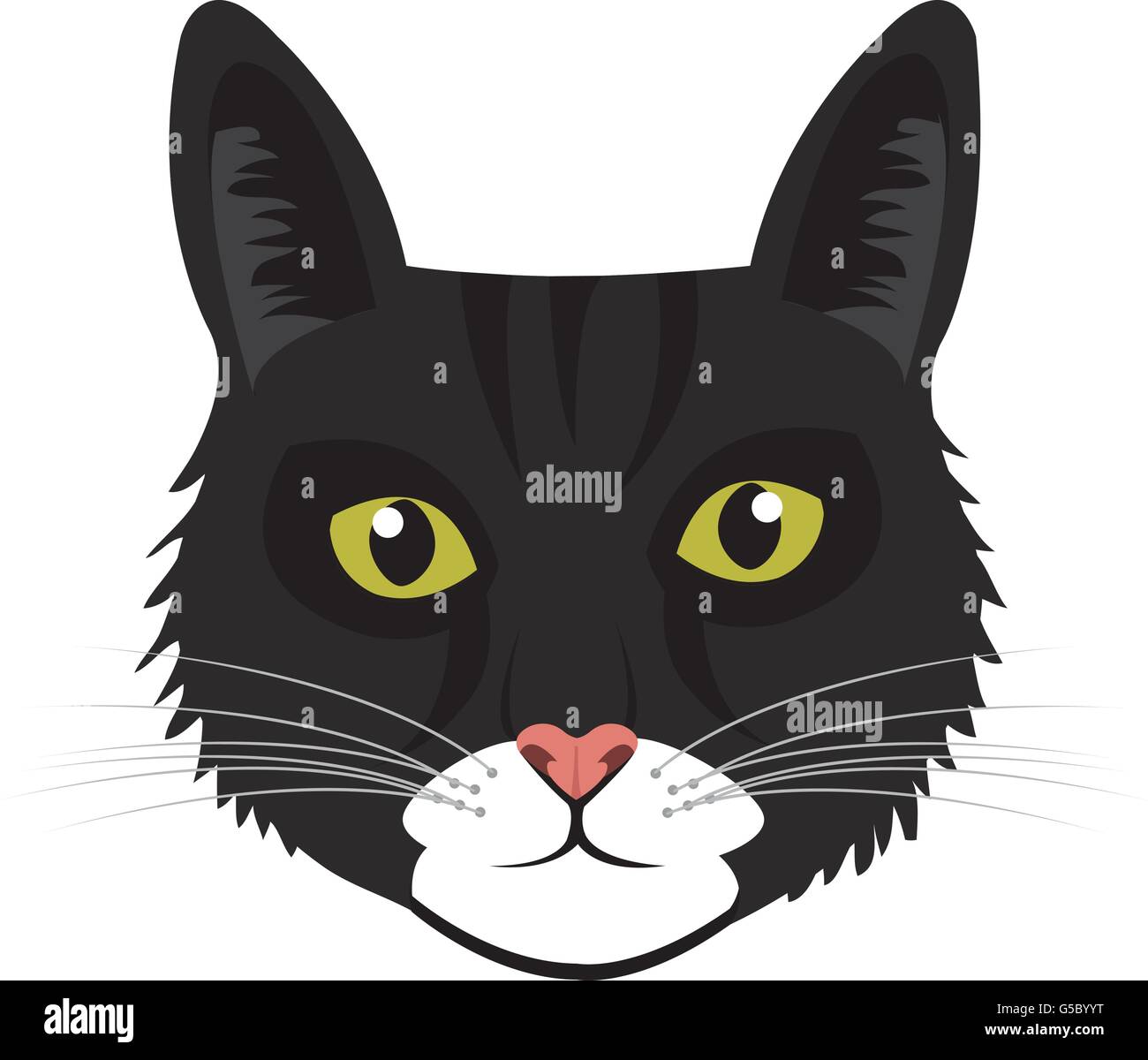 colorful cat front view,vector graphic Stock Vector Image & Art - Alamy