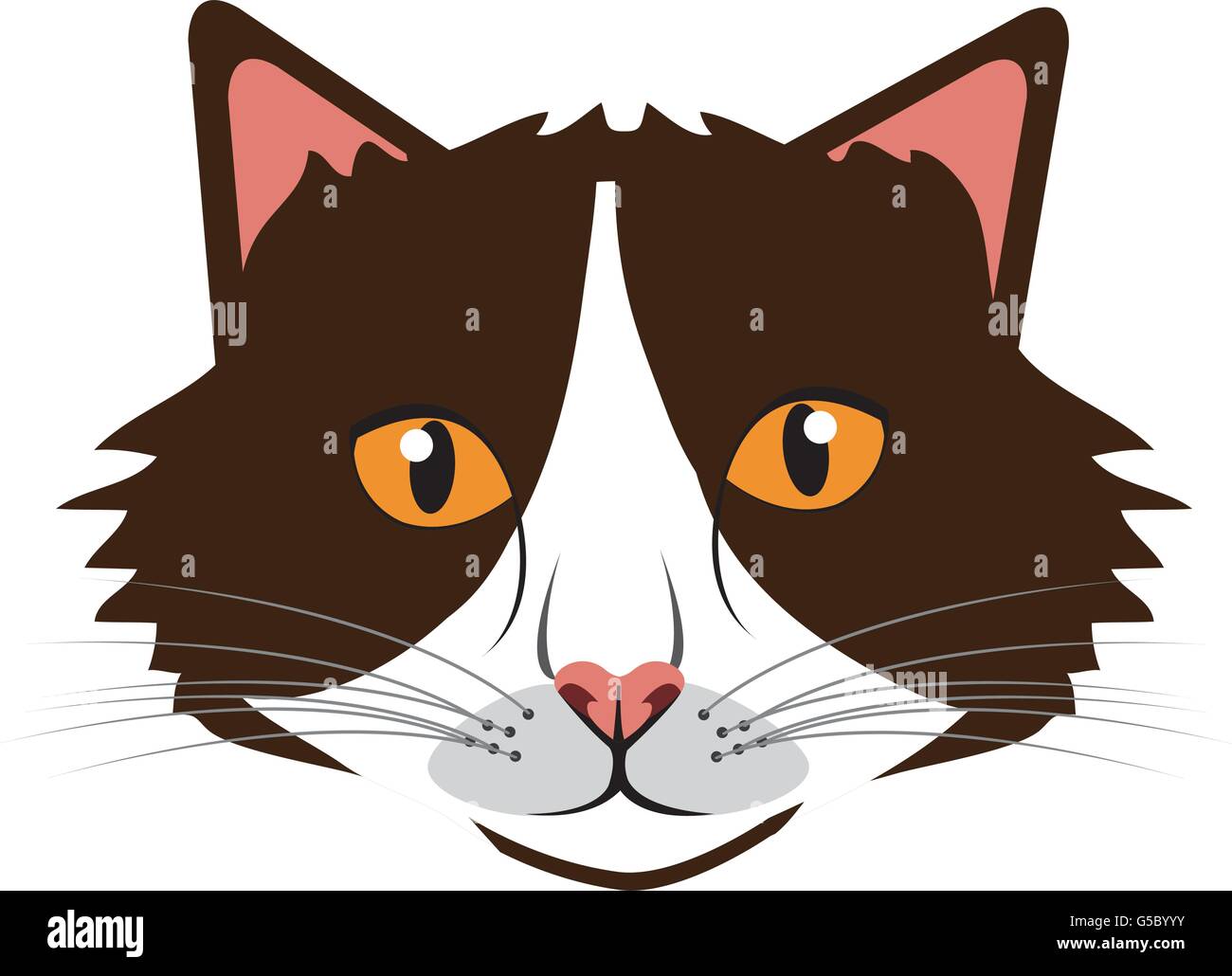 colorful cat front view,vector graphic Stock Vector Image & Art - Alamy