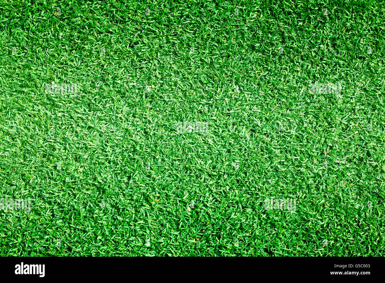 Golf Courses green lawn pattern textured background Stock Photo - Alamy