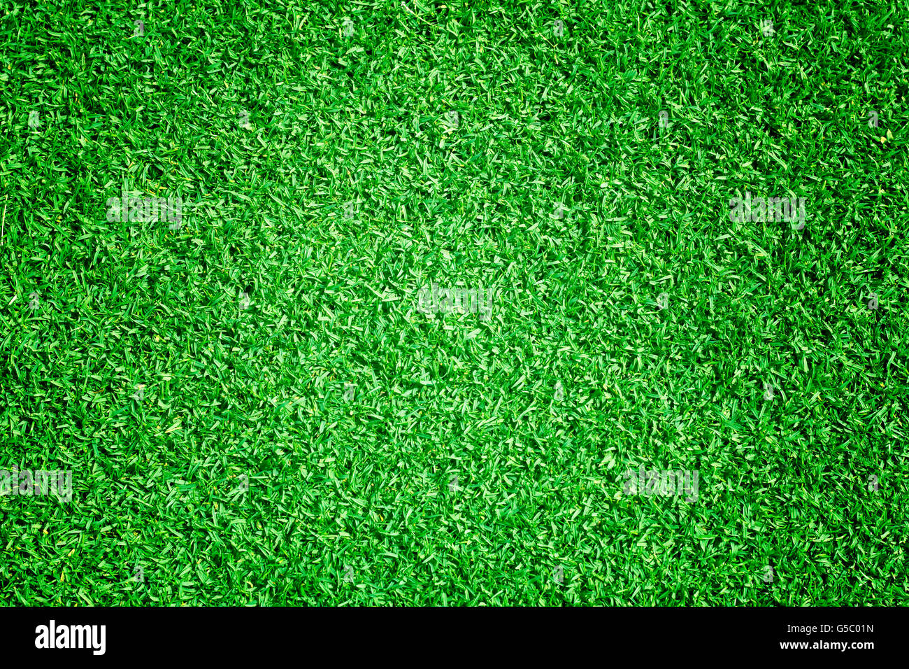 Golf Courses green lawn pattern textured background Stock Photo - Alamy
