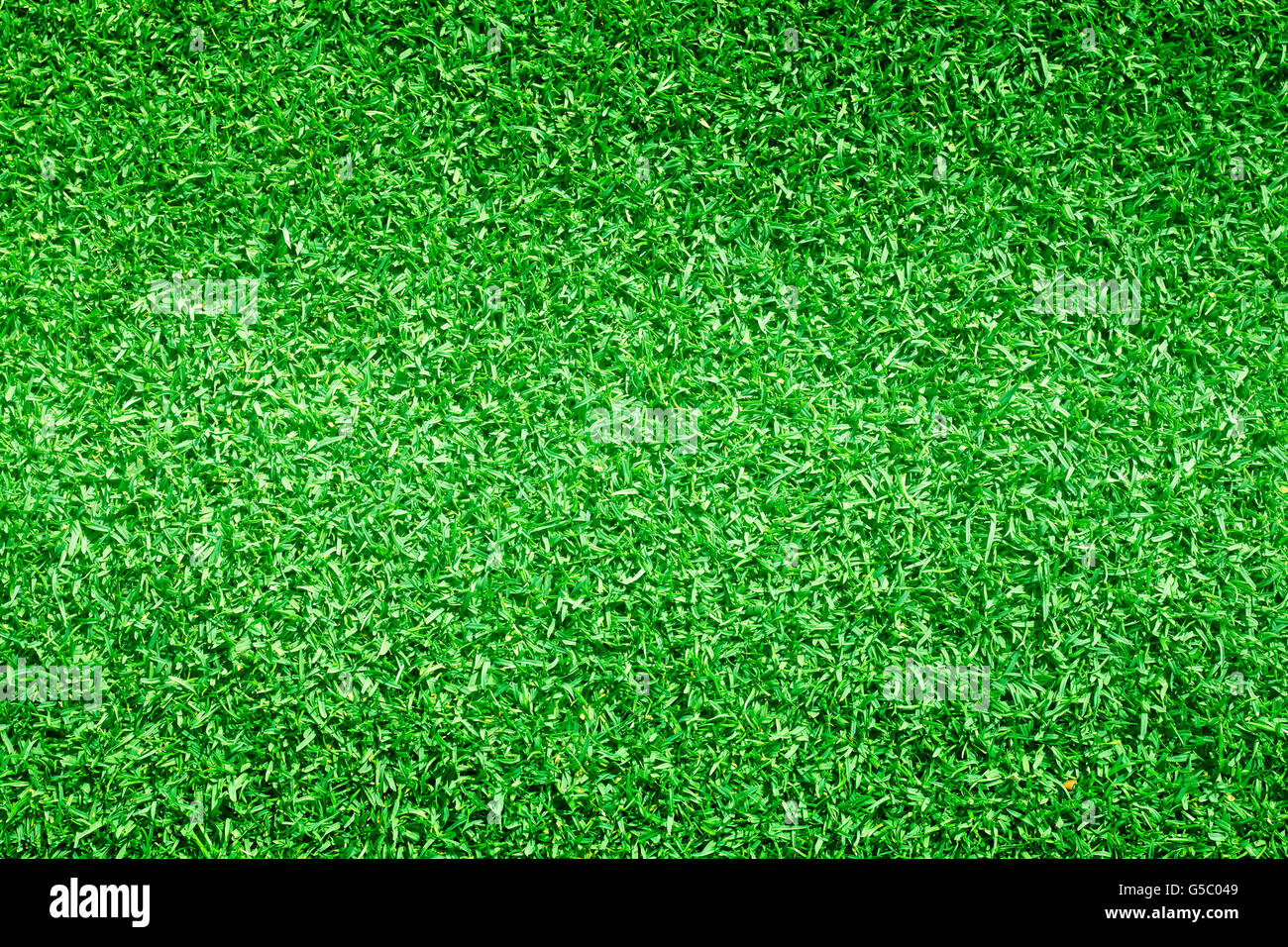 Golf Courses green lawn pattern textured background Stock Photo - Alamy