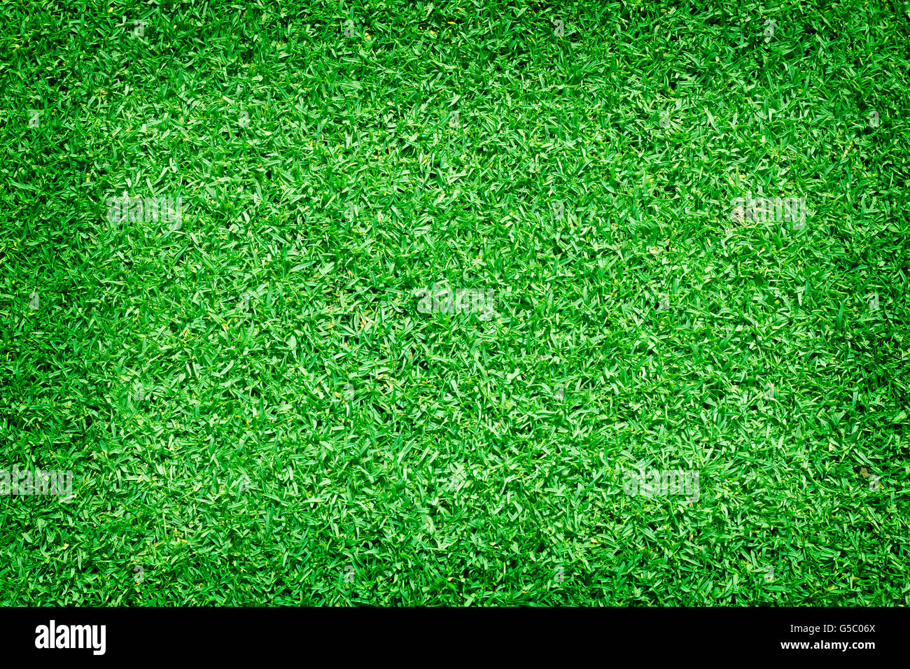 Golf Courses green lawn pattern textured background Stock Photo - Alamy