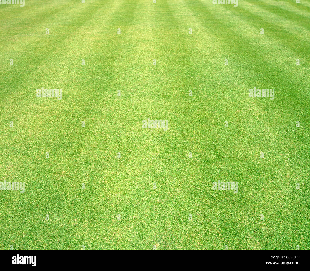 Golf Courses green lawn pattern textured background Stock Photo - Alamy