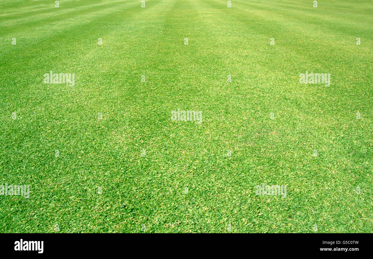 Golf Courses green lawn pattern textured background Stock Photo - Alamy