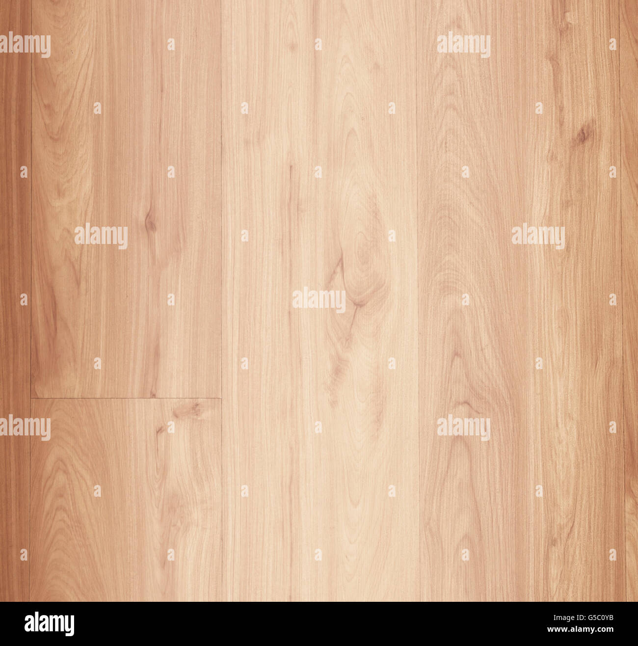 Hardwood maple basketball court floor viewed from above Stock Photo - Alamy
