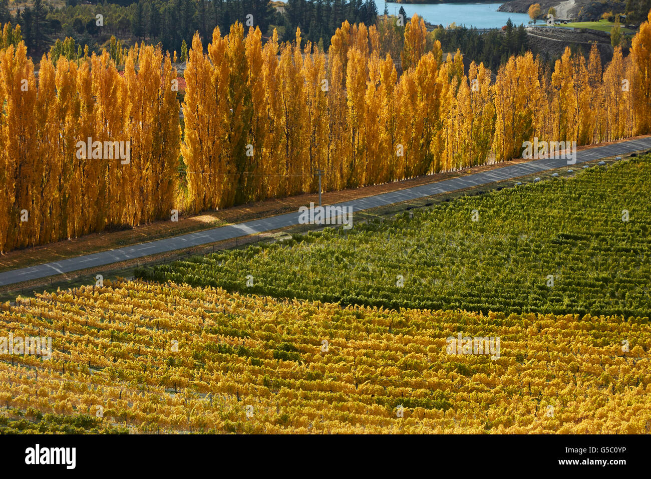Mt difficulty new zealand hi-res stock photography and images - Alamy