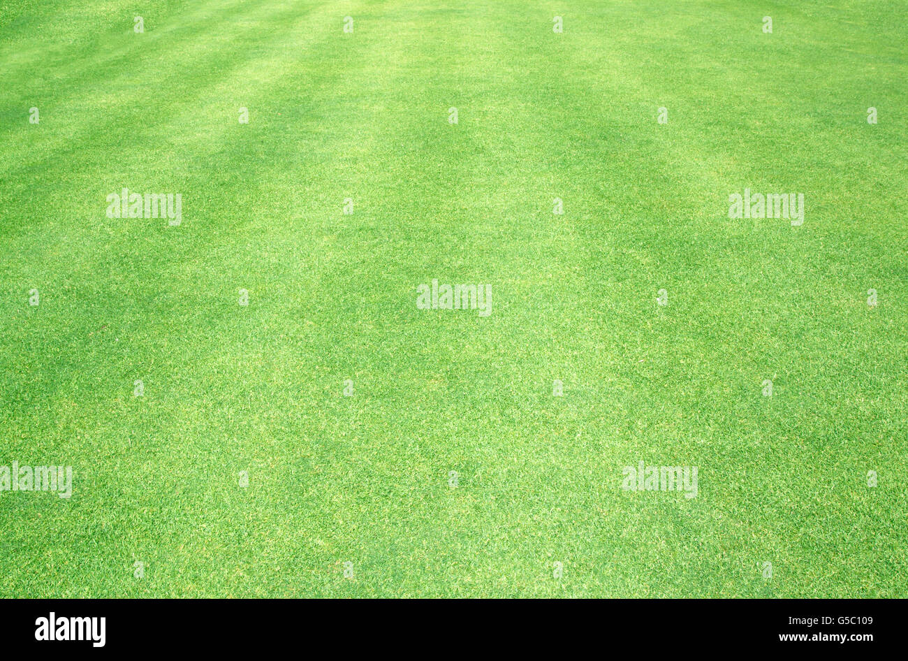 Golf Courses green lawn pattern textured background Stock Photo - Alamy