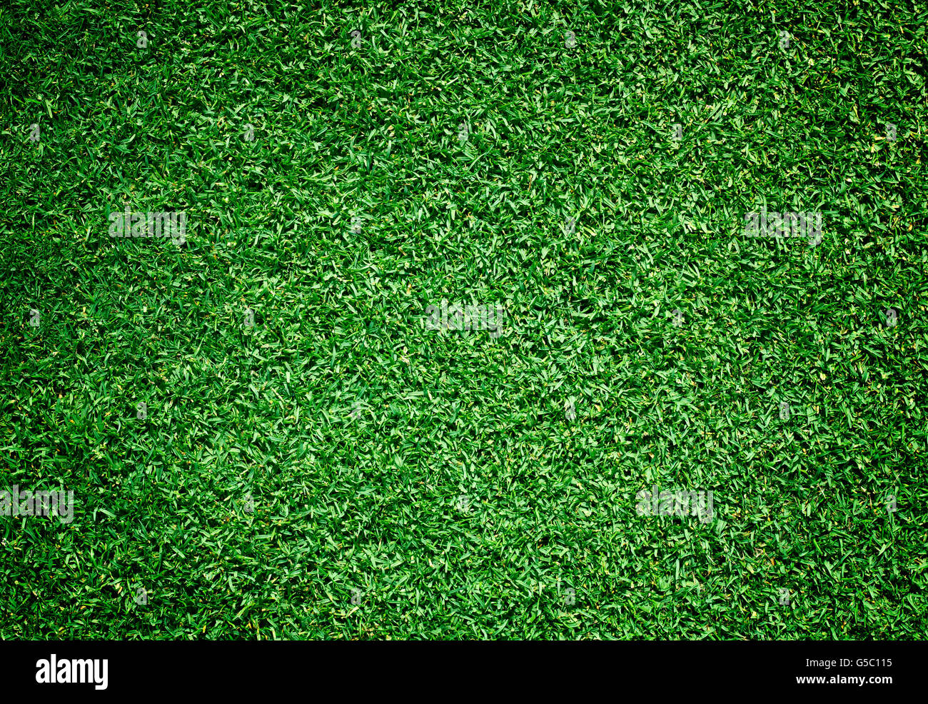 Golf Courses green lawn pattern textured background Stock Photo - Alamy