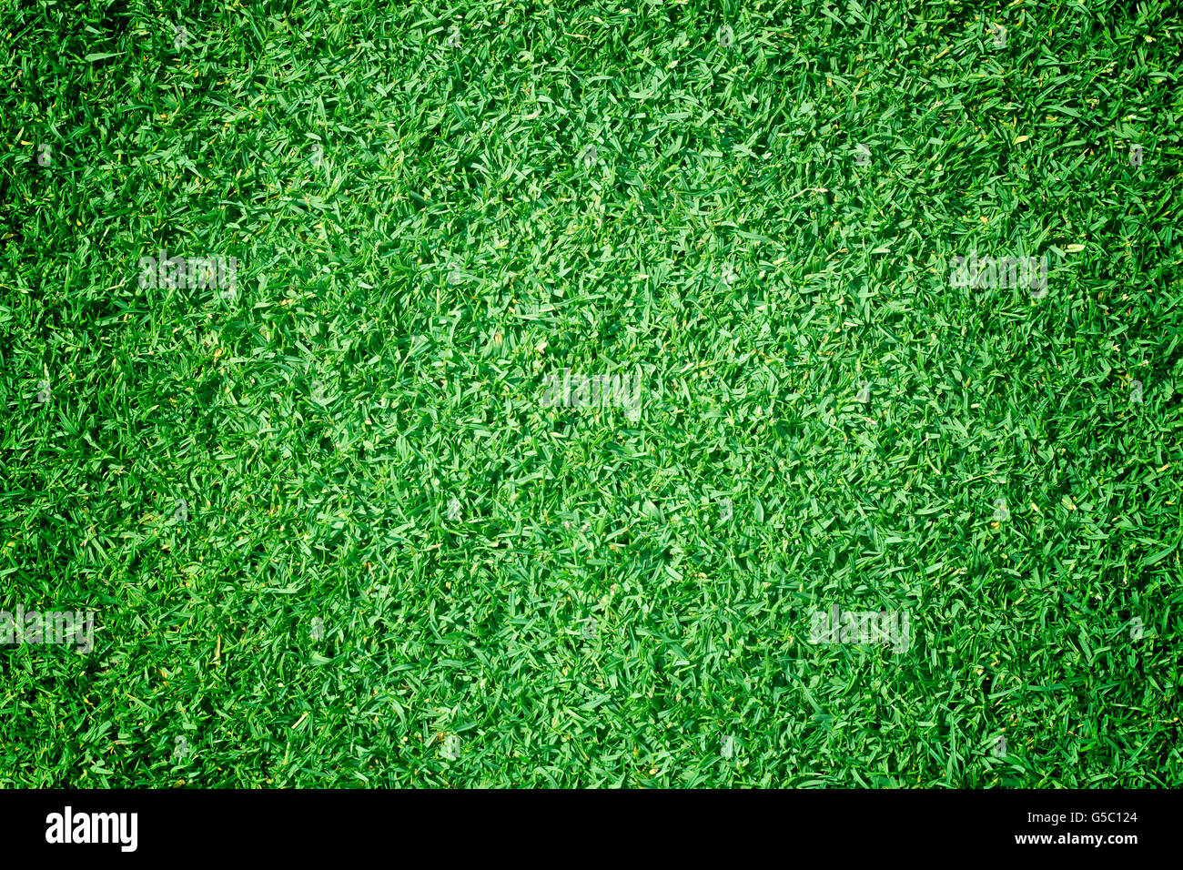 Golf Courses green lawn pattern textured background Stock Photo - Alamy