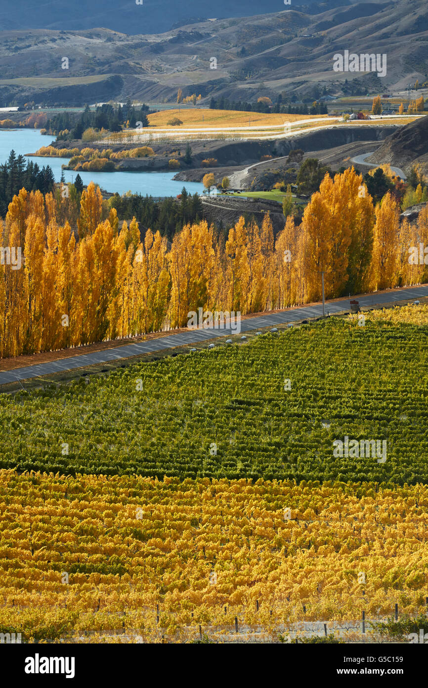 Mt difficulty new zealand hi-res stock photography and images - Alamy