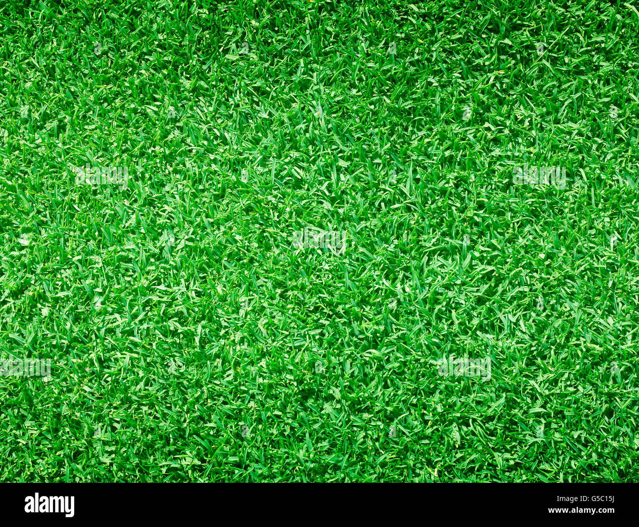 Golf Courses green lawn pattern textured background Stock Photo - Alamy
