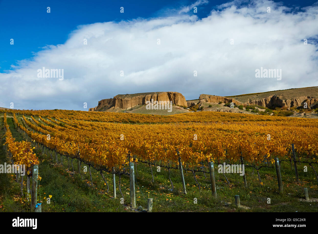 Bannockburn Sluicings High Resolution Stock Photography and Images - Alamy