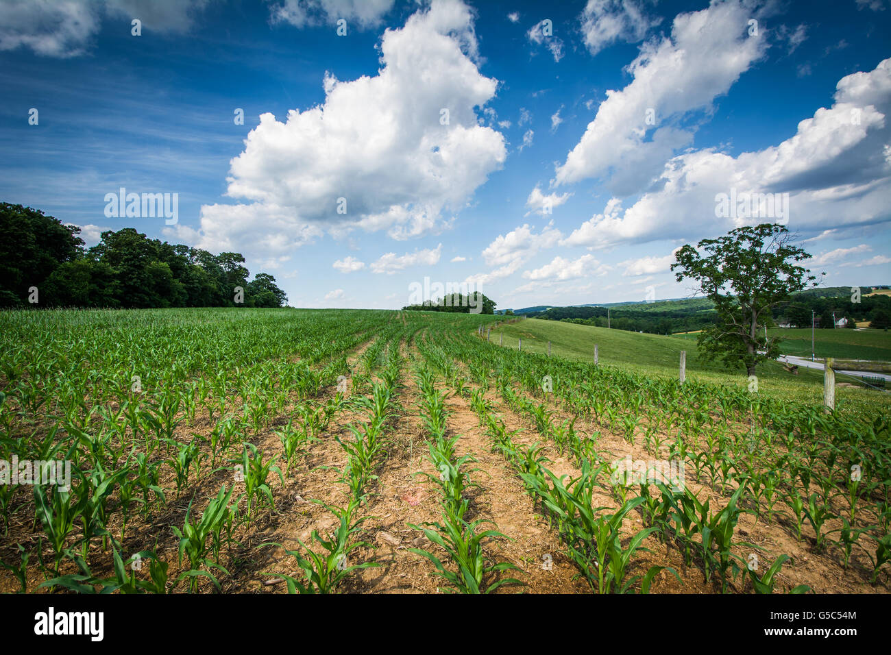 Farm field near Glen Rock, in York County, Pennsylvania Stock Photo - Alamy