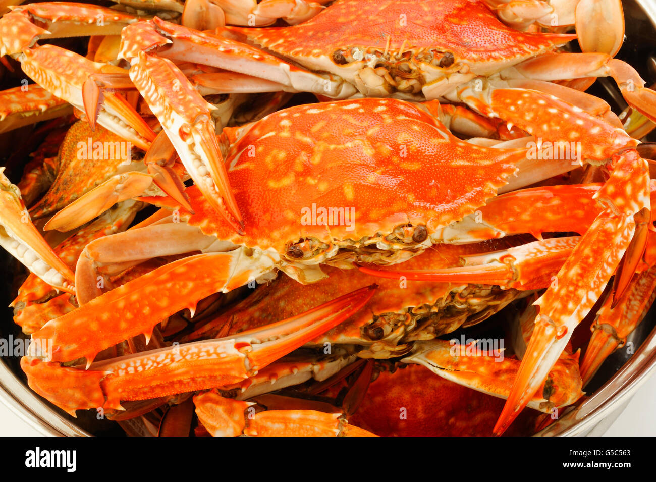 Steamed crab hi-res stock photography and images - Alamy