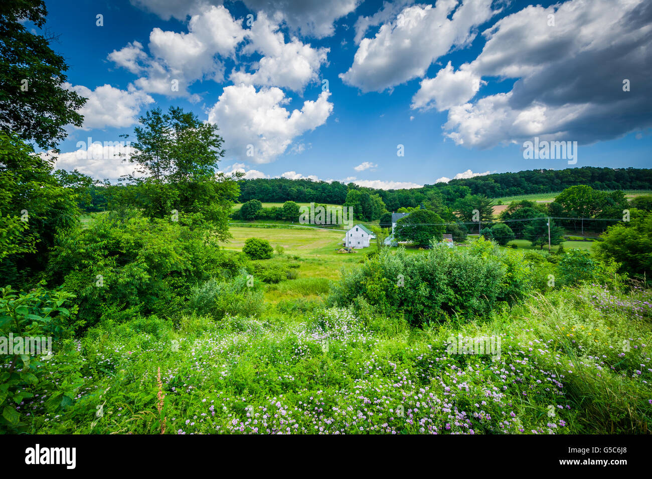 Pennsylvania farm fields in hill country hi-res stock photography and ...