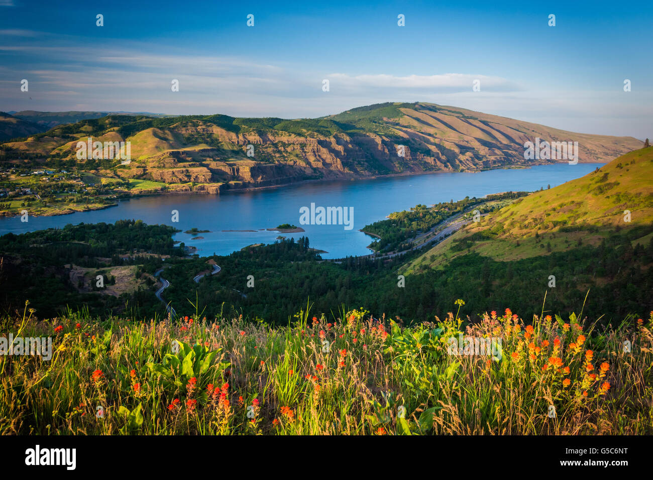 Wildflowers and view at Tom McCall Nature Preserve, Columbia River ...