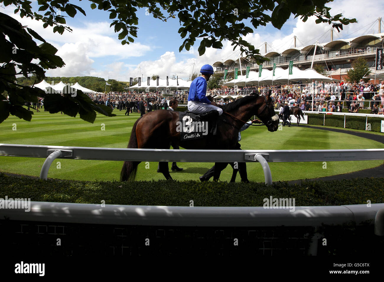 Horse Racing - 2012 Glorious Goodwood Festival - Betfred Mile Day ...