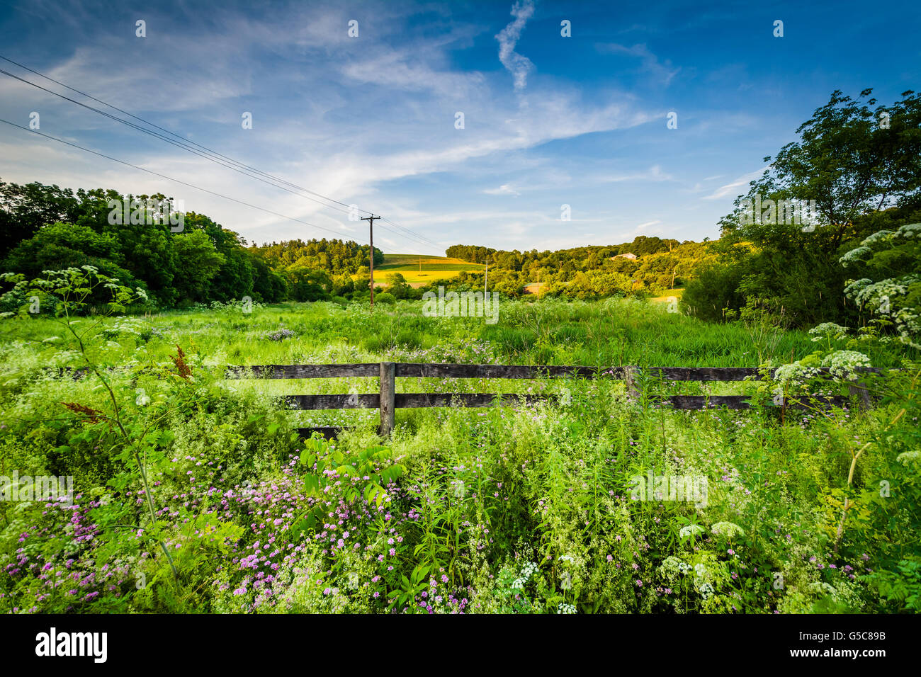 Pennsylvania nature hi-res stock photography and images - Alamy