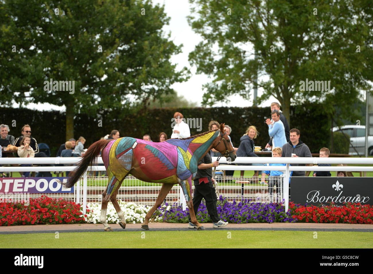 A parade of painted horses in the parade ring at Epsom Downs Racecourse ...
