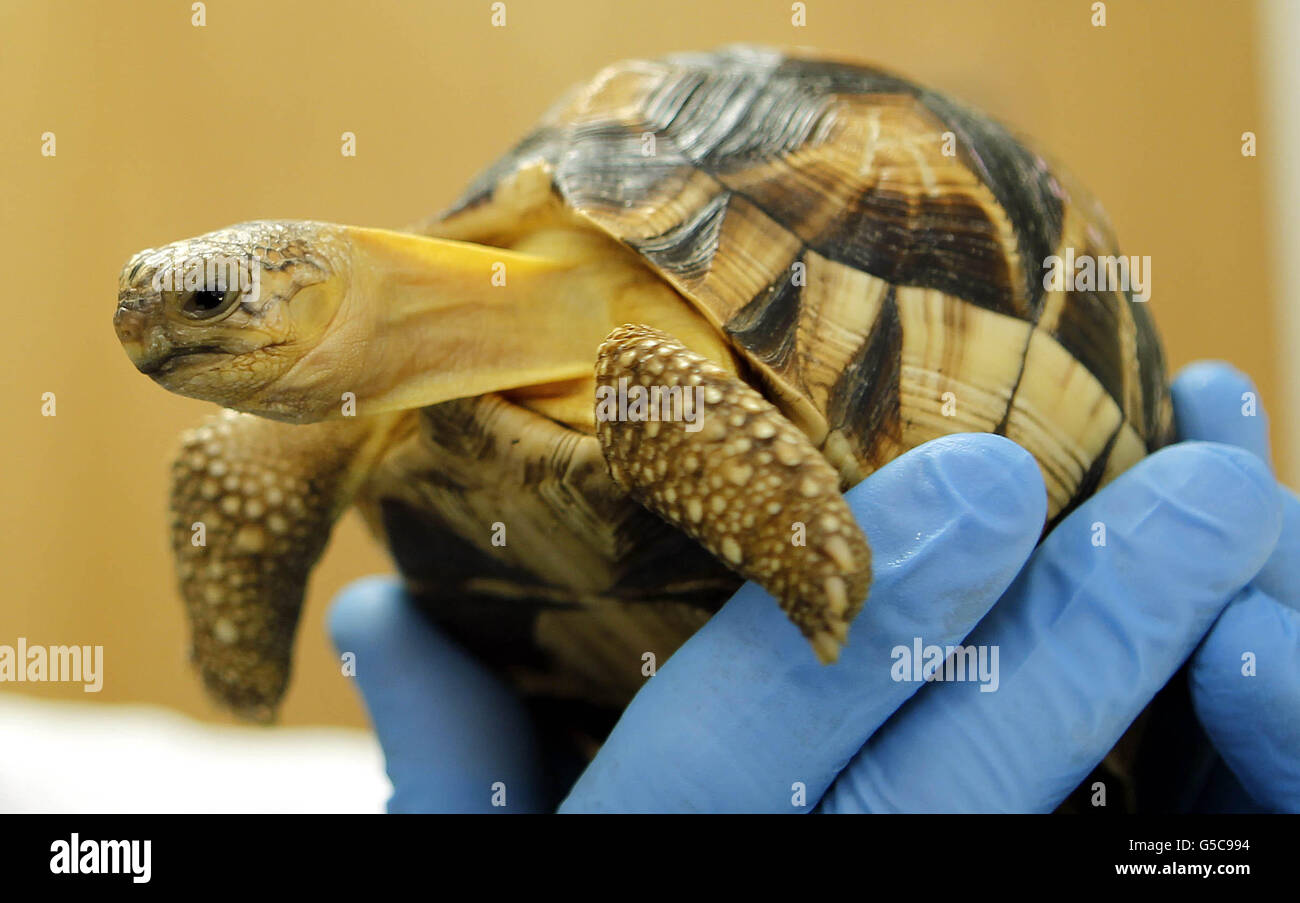 Dr Gerardo Garcia, curator of lower Vertebrates and Invertebrates at ...