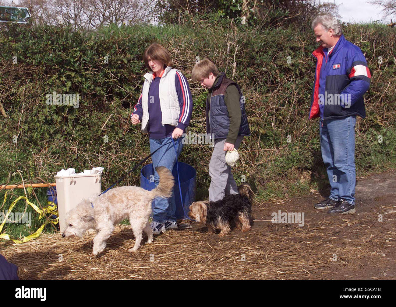 From axminster hi-res stock photography and images - Alamy