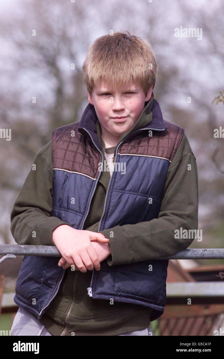 Ross Board 11, whose 12 day old calf 'Phoenix' was temporarily spared ...