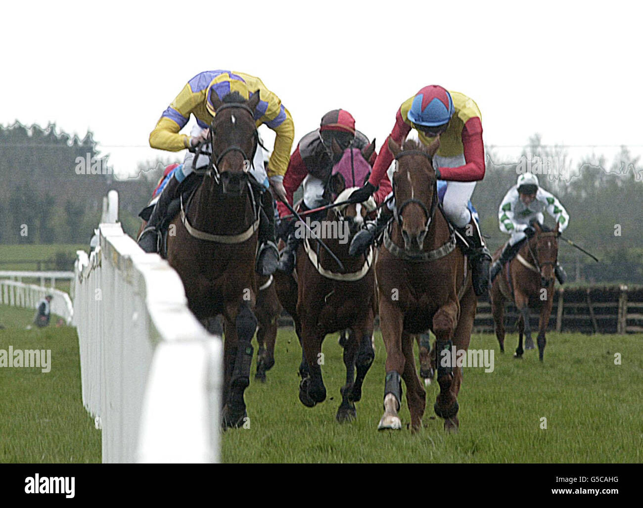 Winner of 'The Championship Four Year Old Hurdle' at the Irish Racing ...