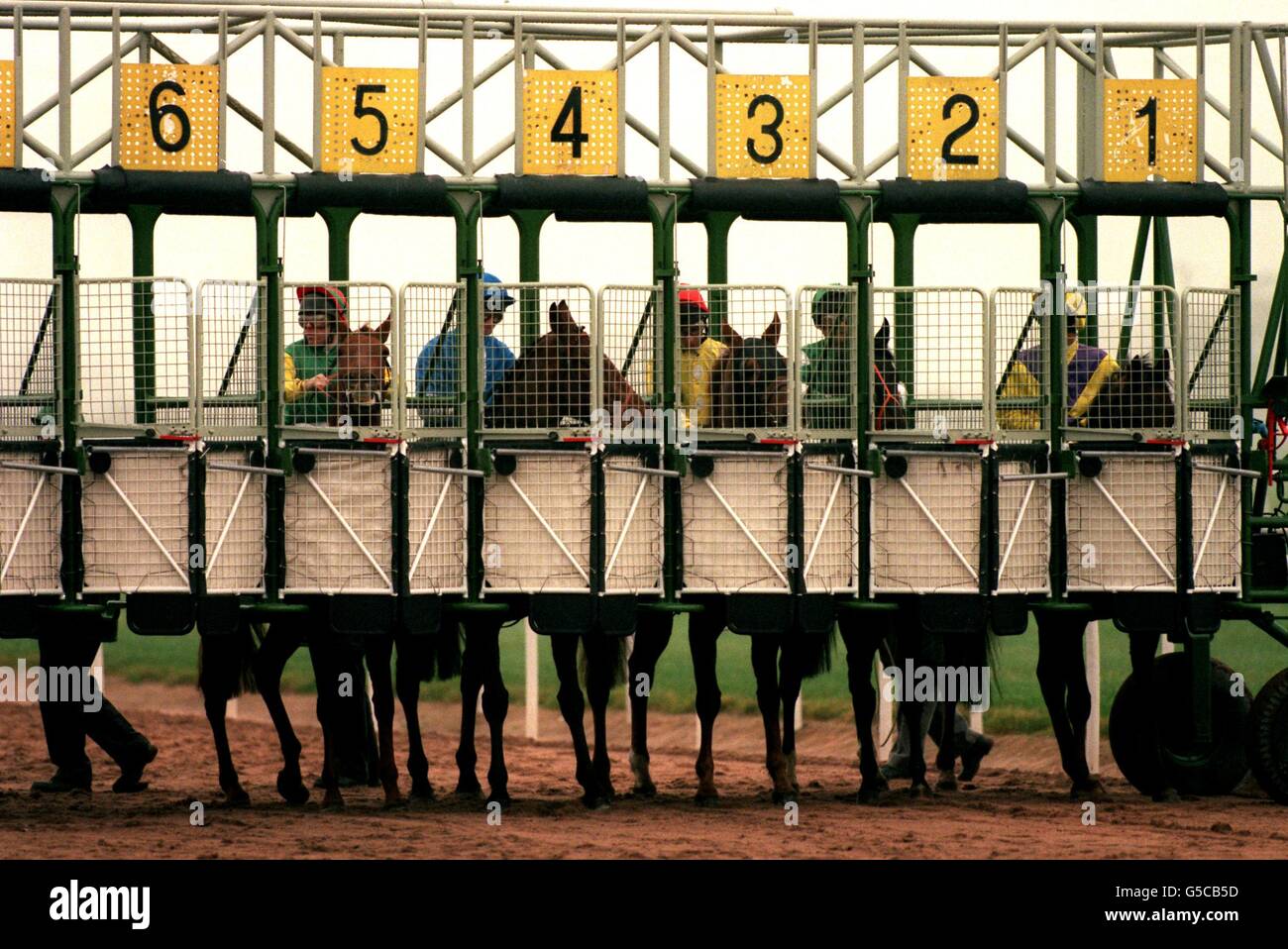 Southwell RacesrHores wait in the starting gates prior to a race Stock ...
