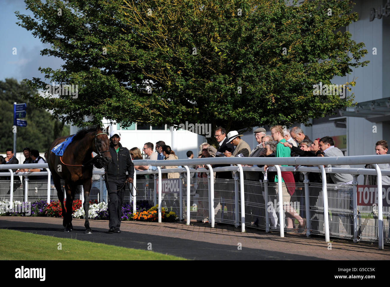 Last night of the proms epsom hi-res stock photography and images - Alamy