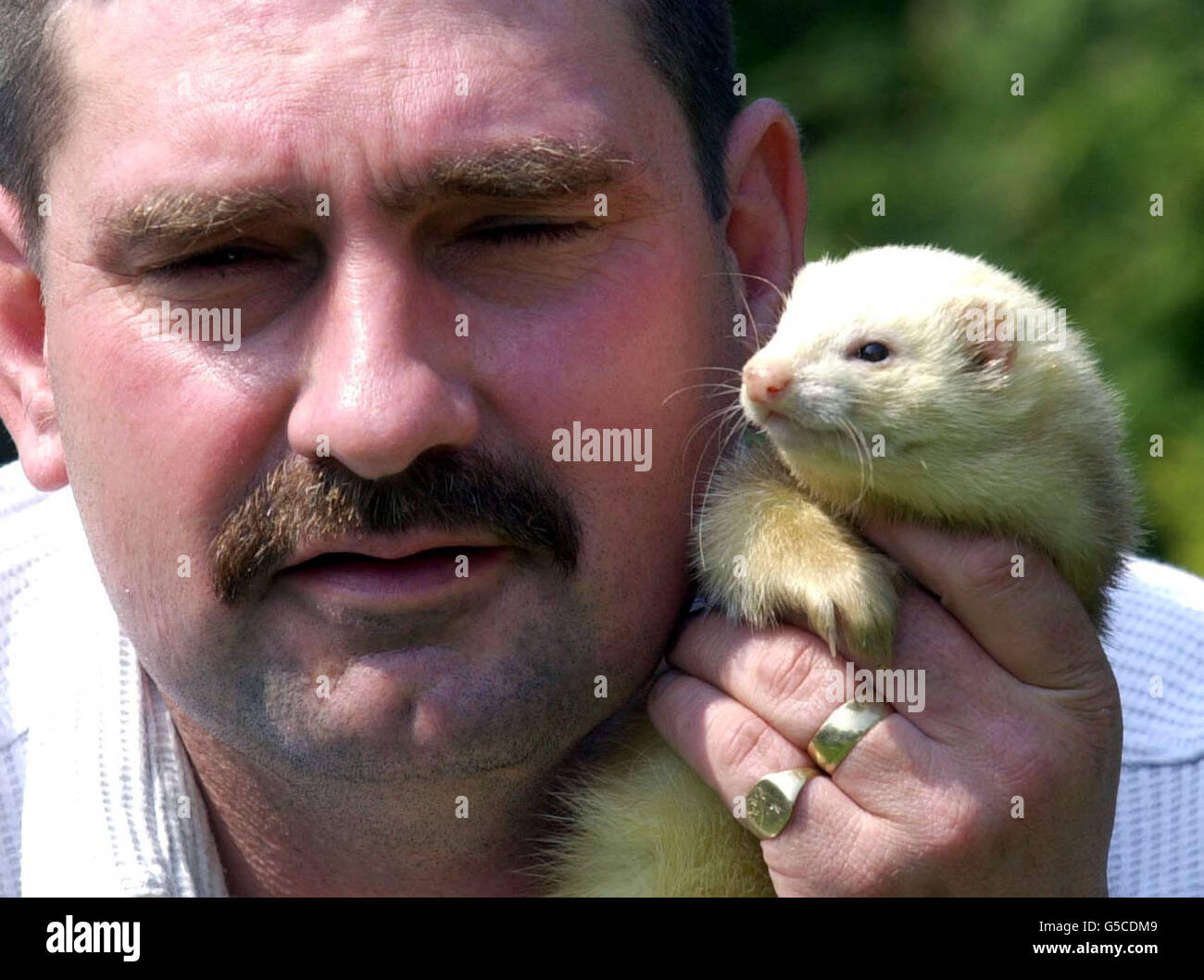 Steve Burley with his pet ferret Lucky at his Sheffield home. Mr Burley ...