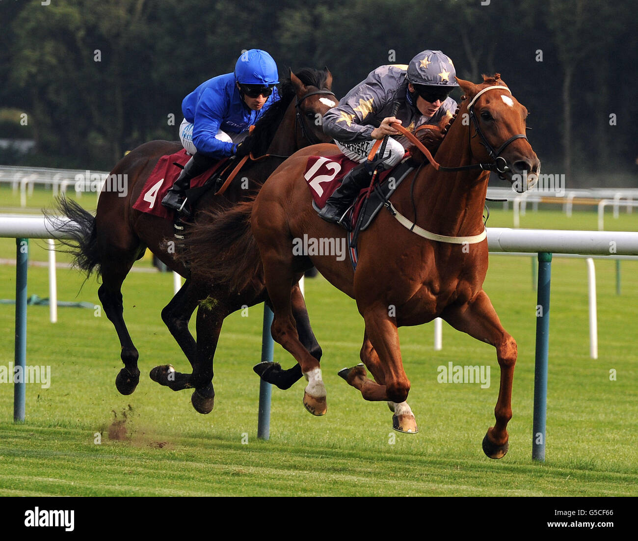 Horse Racing - Rose of Lancaster Stakes Raceday - Haydock Park ...