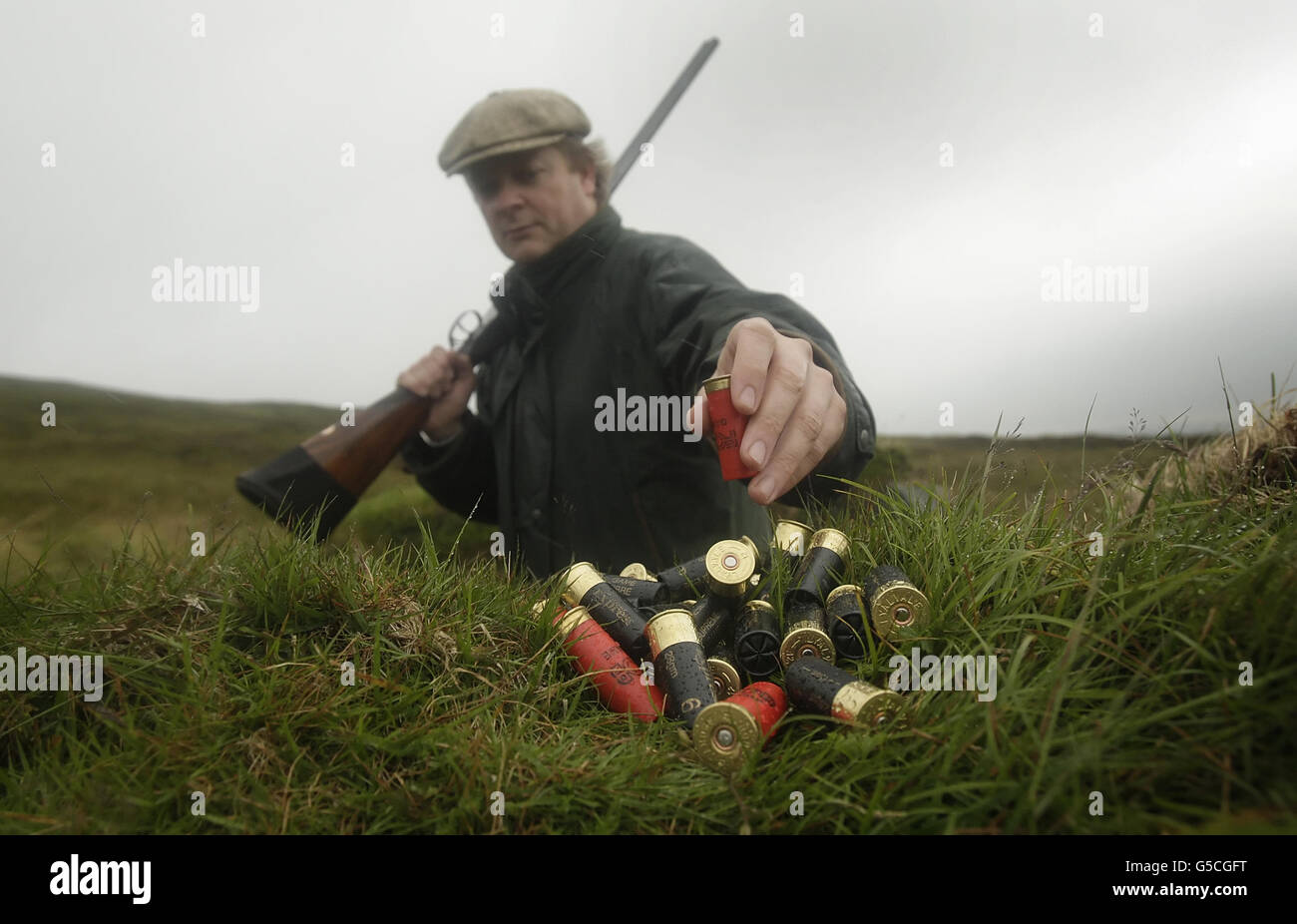 Grouse shooting season Stock Photo - Alamy