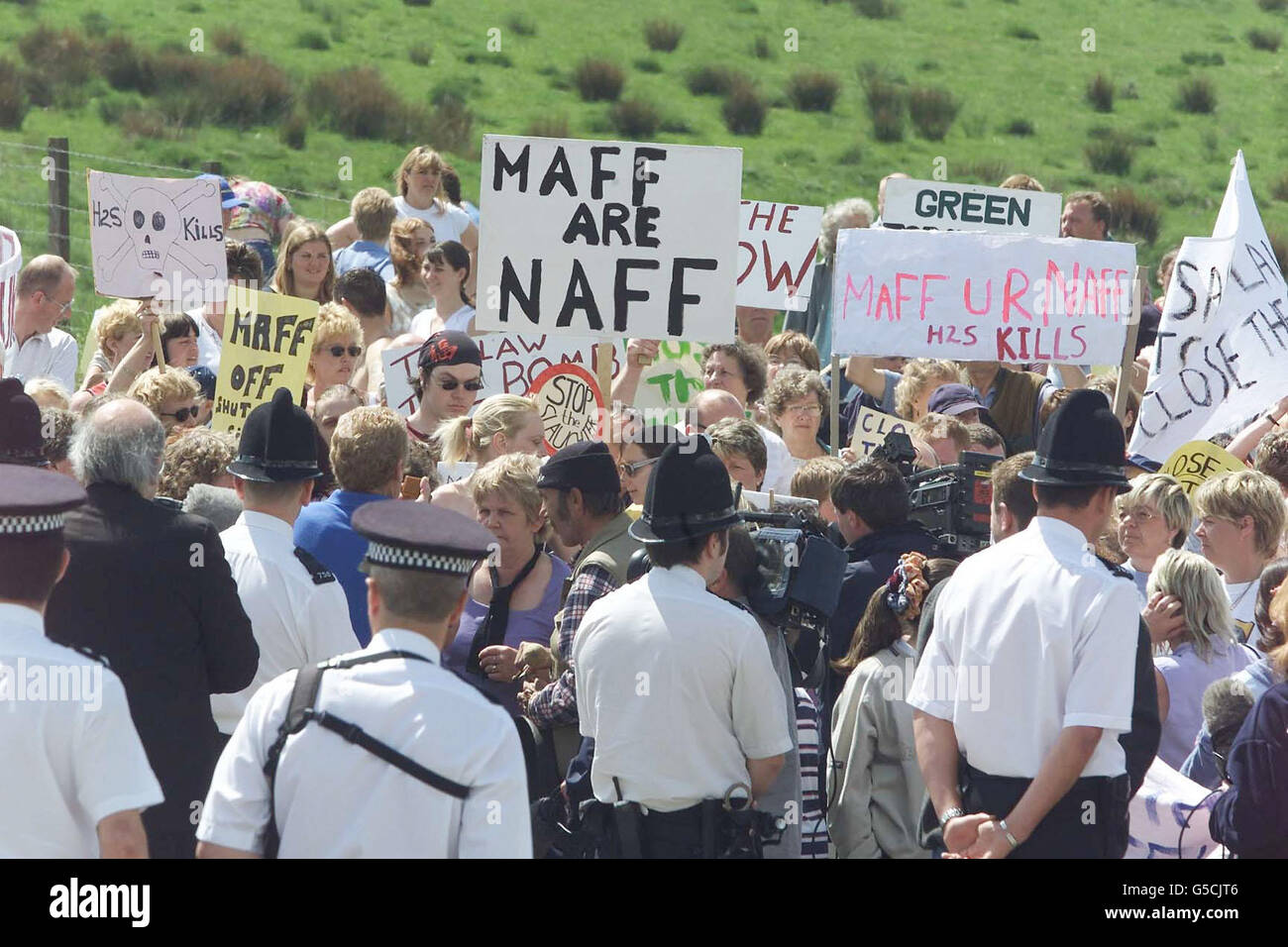 County Durham Pigs Protest Stock Photo - Alamy