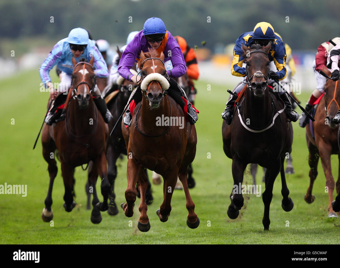 Horse Racing - Ebor Festival 2012 - Darley Yorkshire Oaks & Ladies Day ...