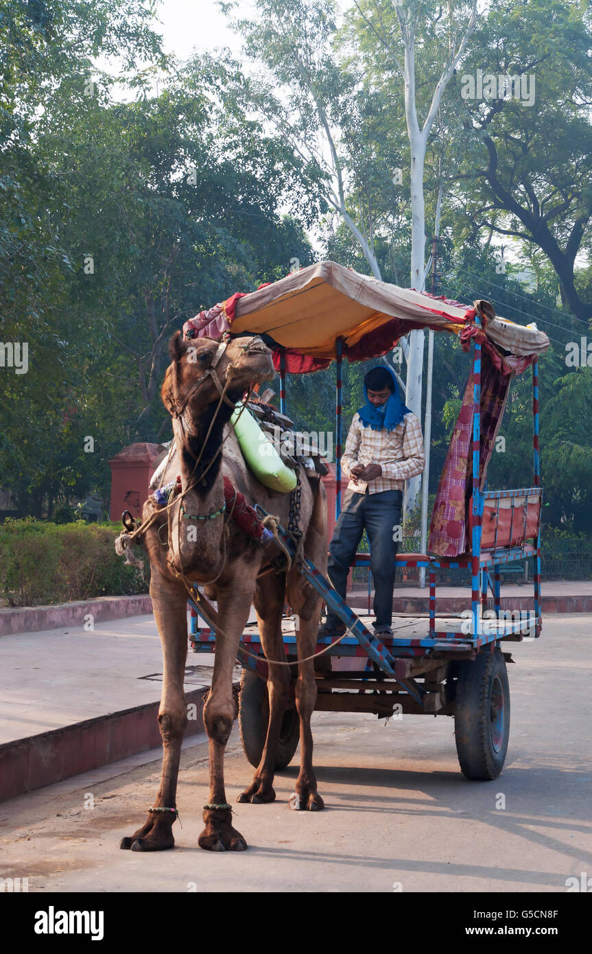 Cameleers hi-res stock photography and images - Alamy
