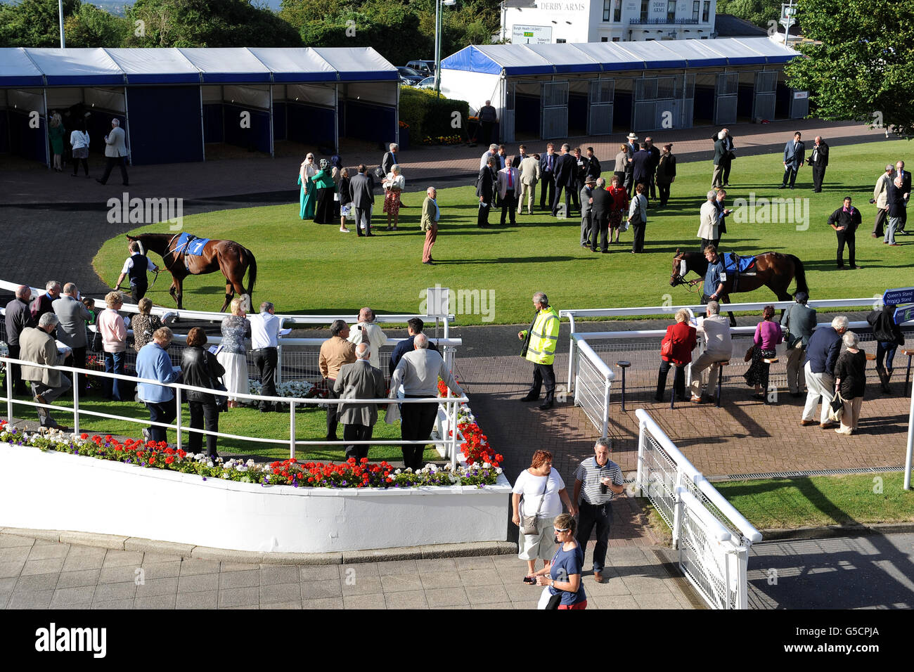 A general view of the parade ring at Epsom Downs Racecourse Stock Photo ...