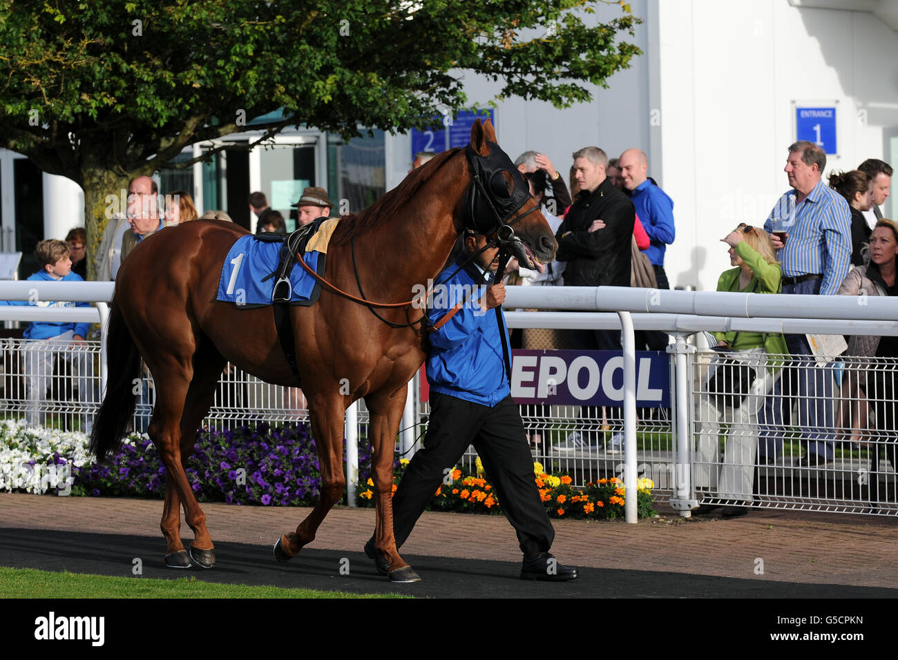 Last night of the proms epsom hi-res stock photography and images - Alamy