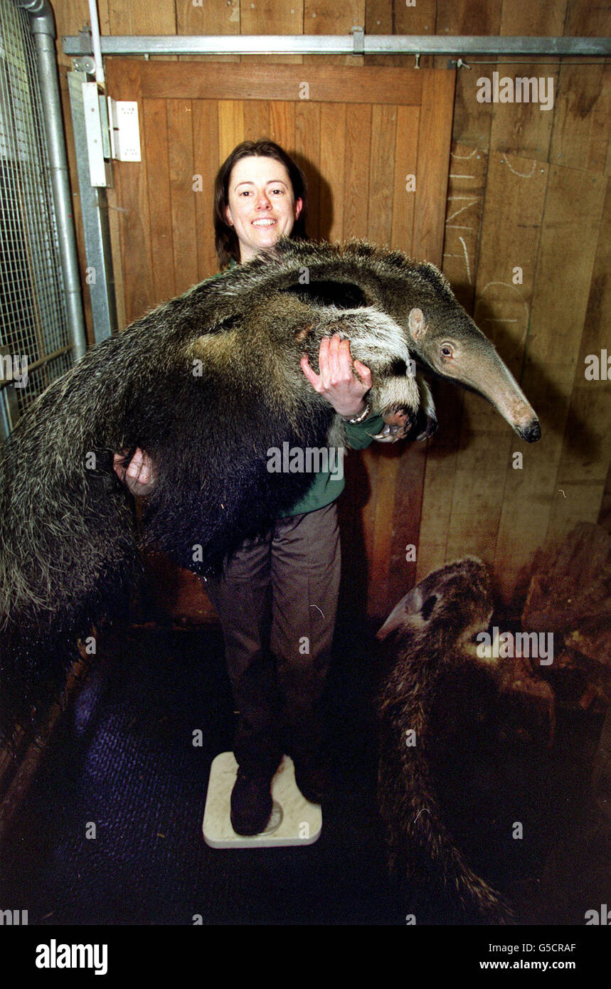 London Zoo's Senior Keeper in the 'Web Of Life' Amanda Ferguson ...