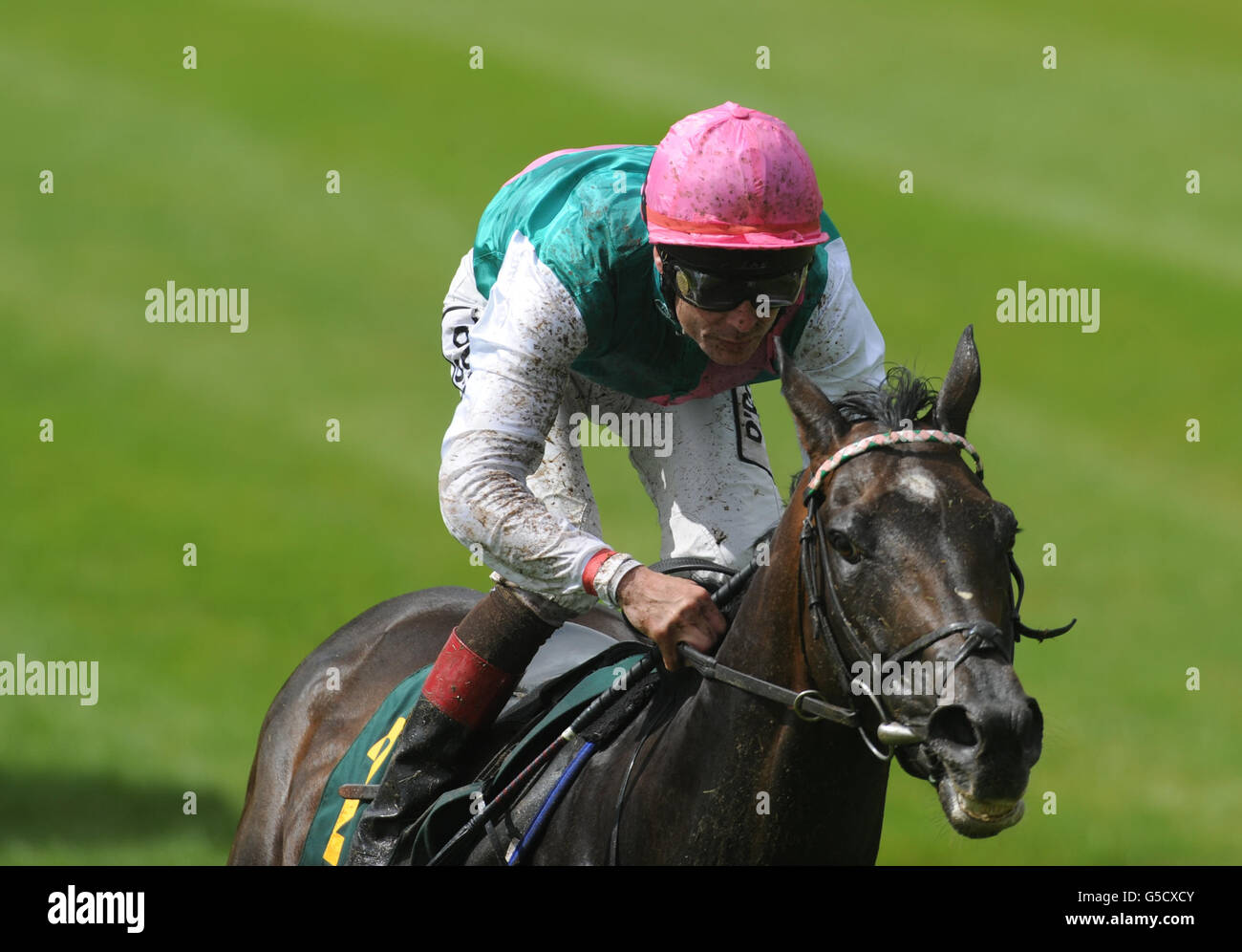 Jockey Pat Smullen on Famous Name goes on to win The Keeneland Royal ...