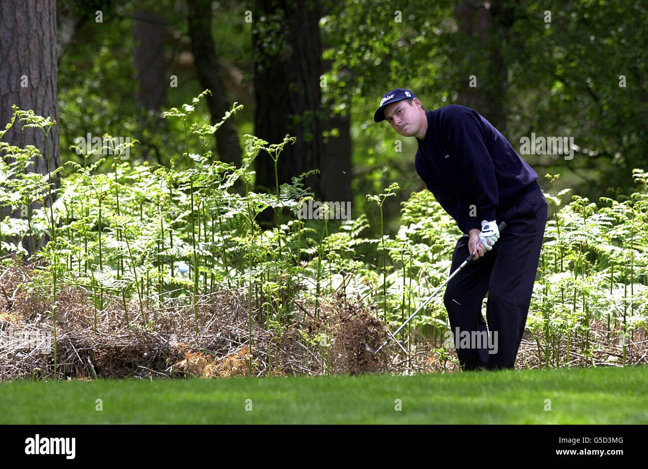 David howel hi-res stock photography and images - Alamy