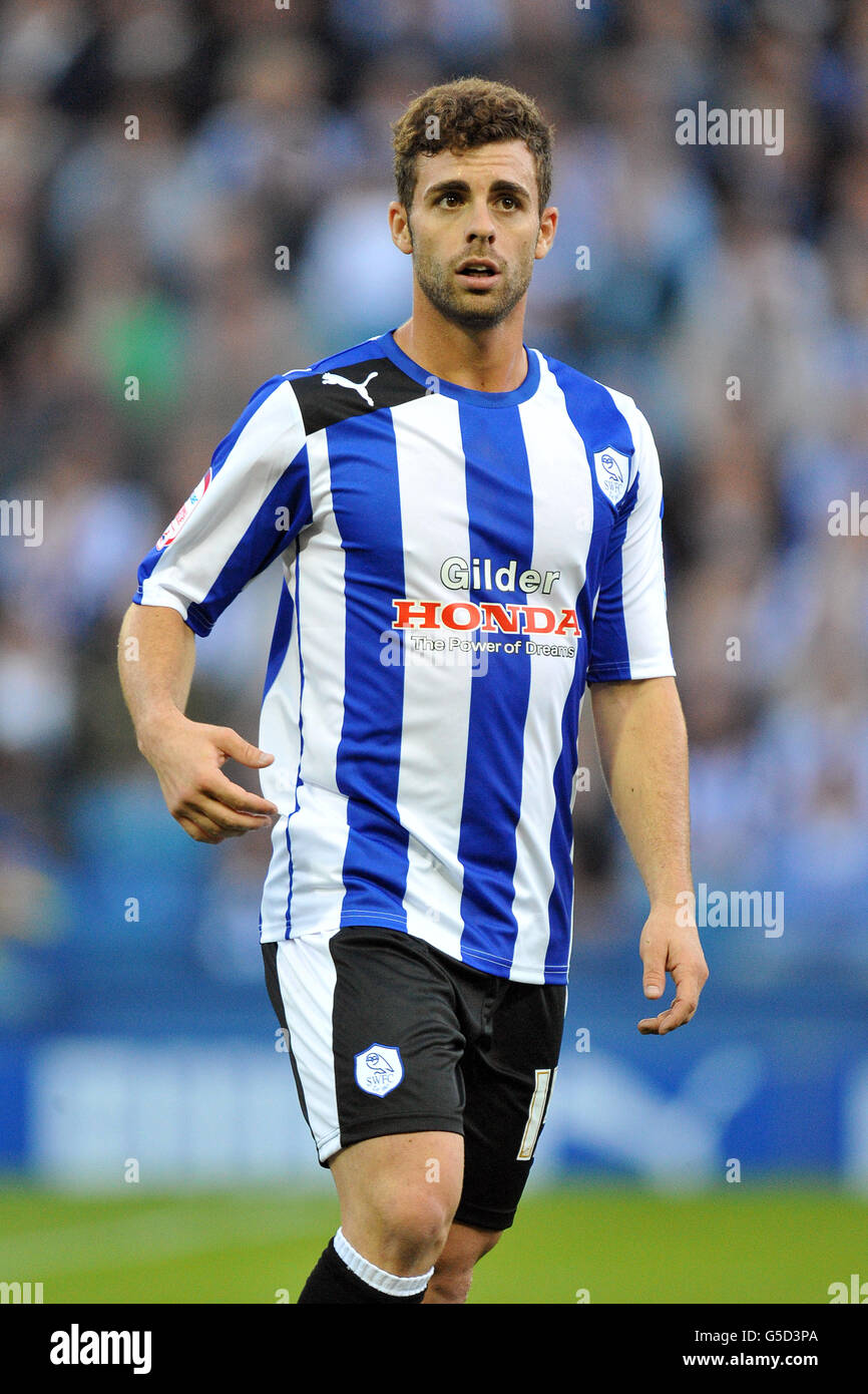 Soccer - npower Football League Championship - Sheffield Wednesday v ...