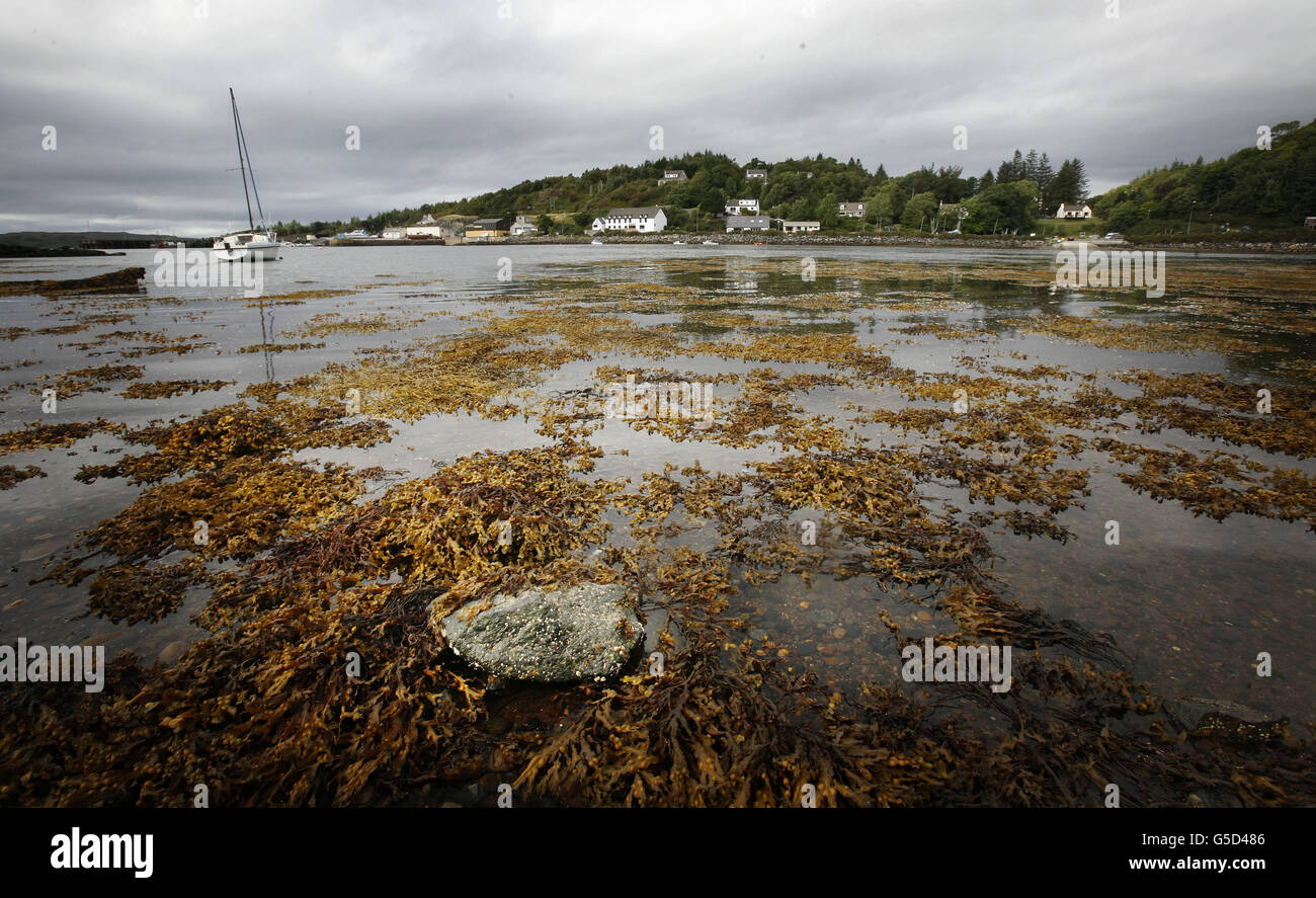 Following canoe accident in two children died hi-res stock photography ...