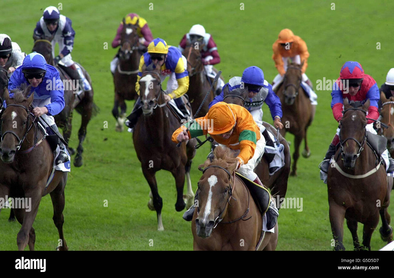 Derby Day Bogus Dreams Stock Photo - Alamy
