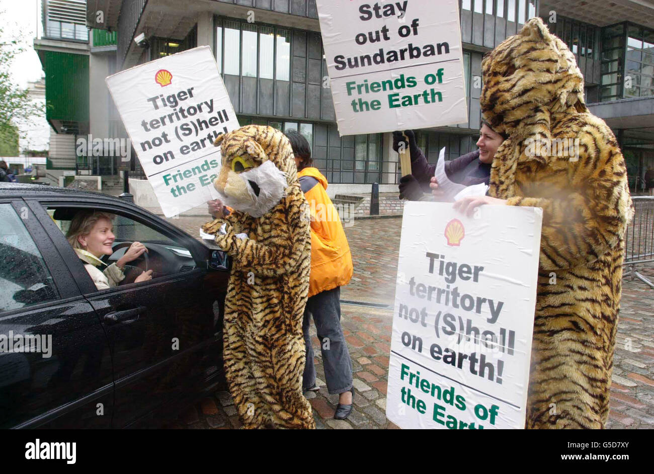 Bangladesh tigers hi-res stock photography and images - Alamy