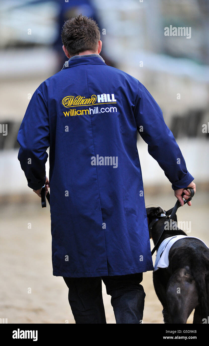 Greyhound during the puppy derby final at wimbledon greyhound stadium ...
