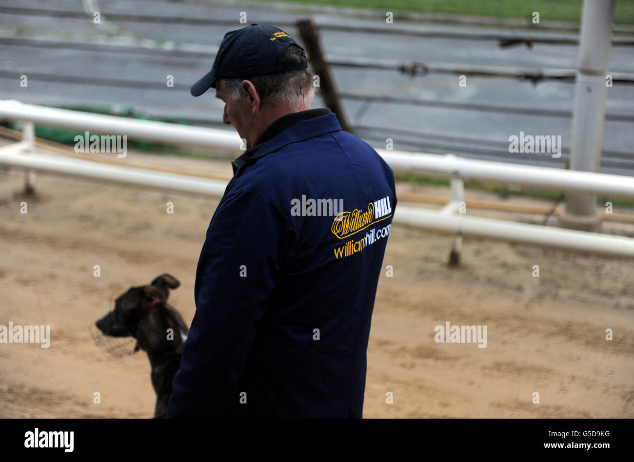 Greyhound lead starting traps puppy derby final wimbledon greyhound ...